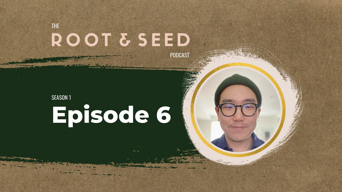 Alex Choi – Root And Seed