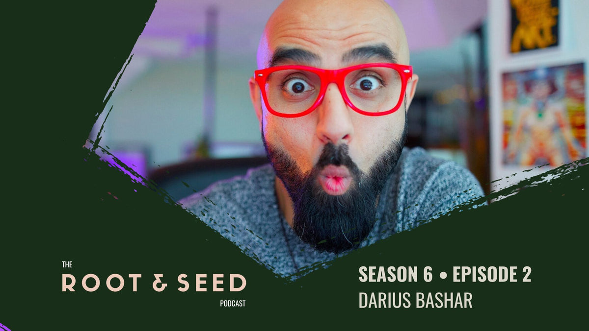 Darius Bashar – Root And Seed