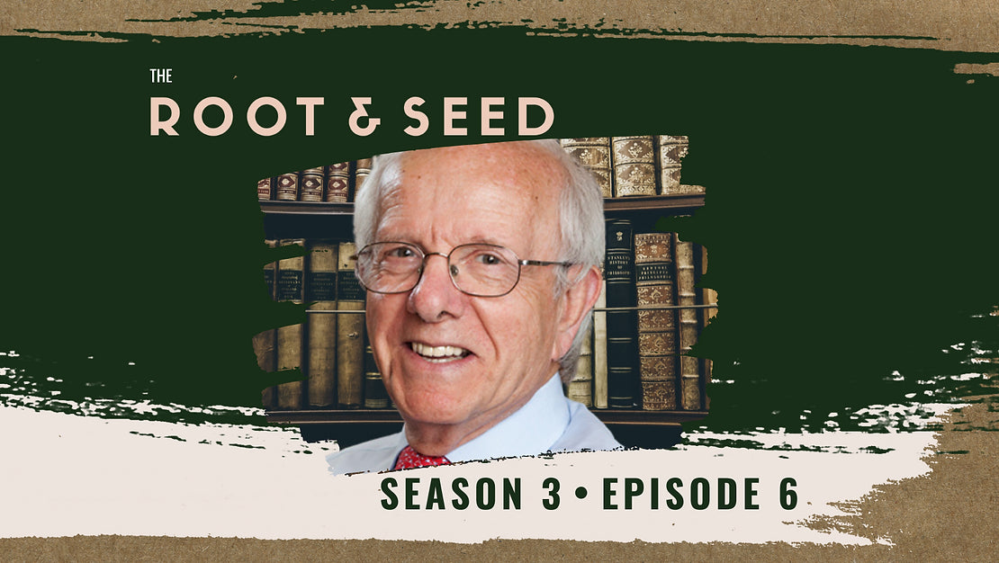 Michael Levine – Root And Seed
