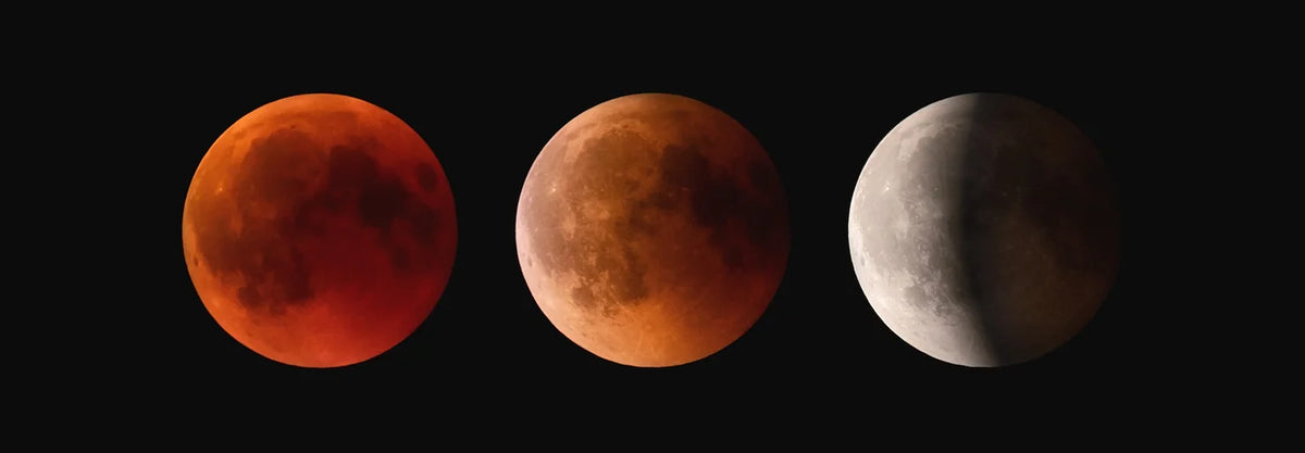 'Tis The Season For Lunar New Year – Root And Seed